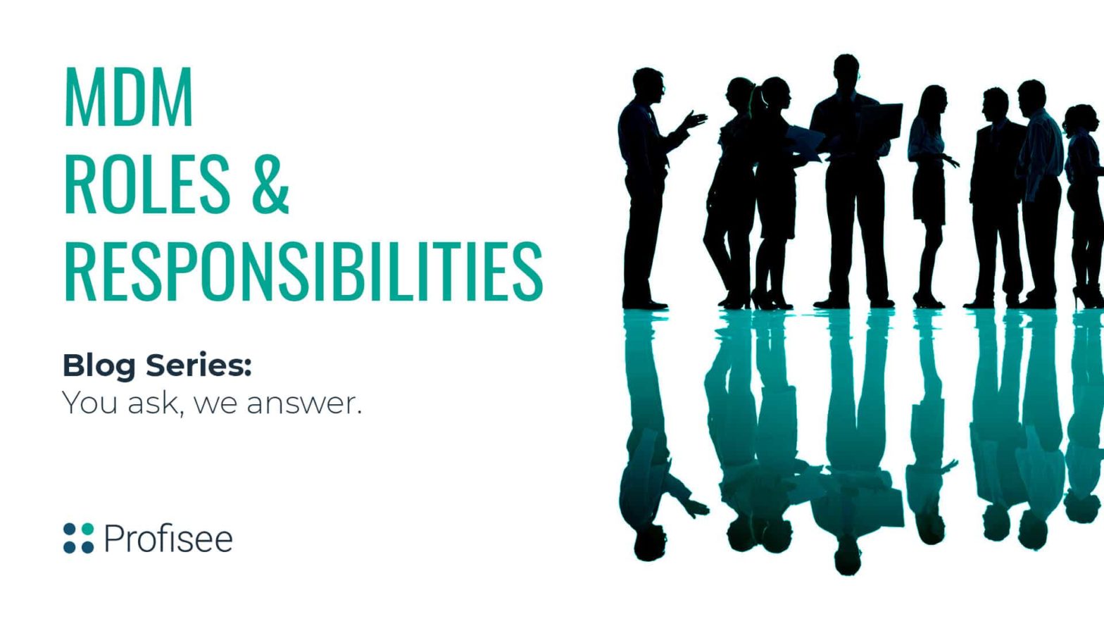 MDM Roles and Responsibilities • Profisee