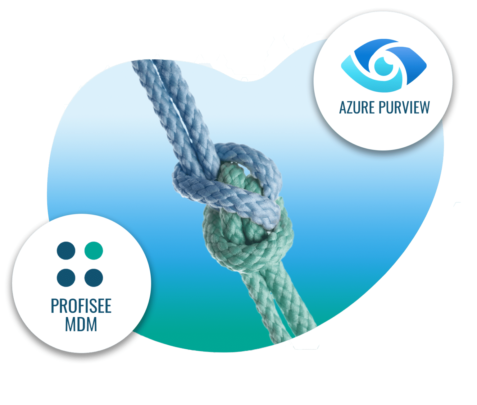 Microsoft Purview MDM - Enterprise Master Data Management • Profisee