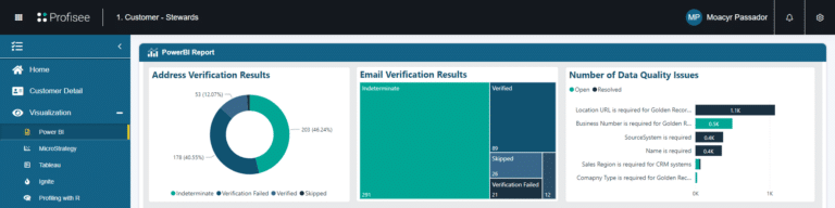 Sustainable Data Quality - Profisee MDM