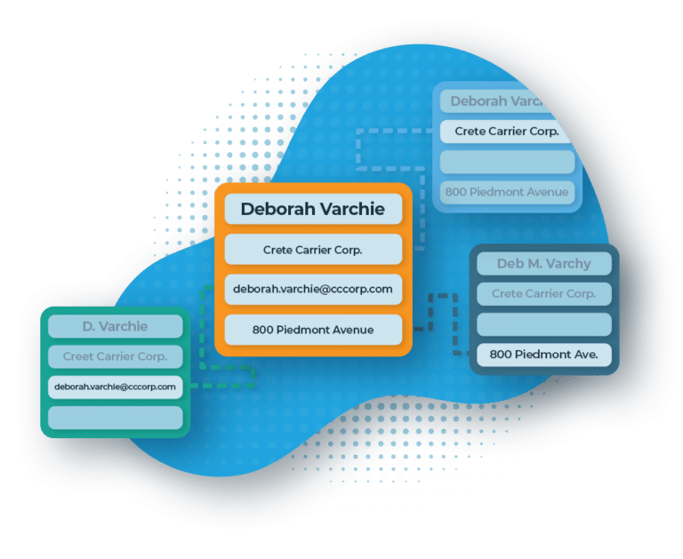 Unlock Hidden Insights with Entity Resolution Software - Profisee