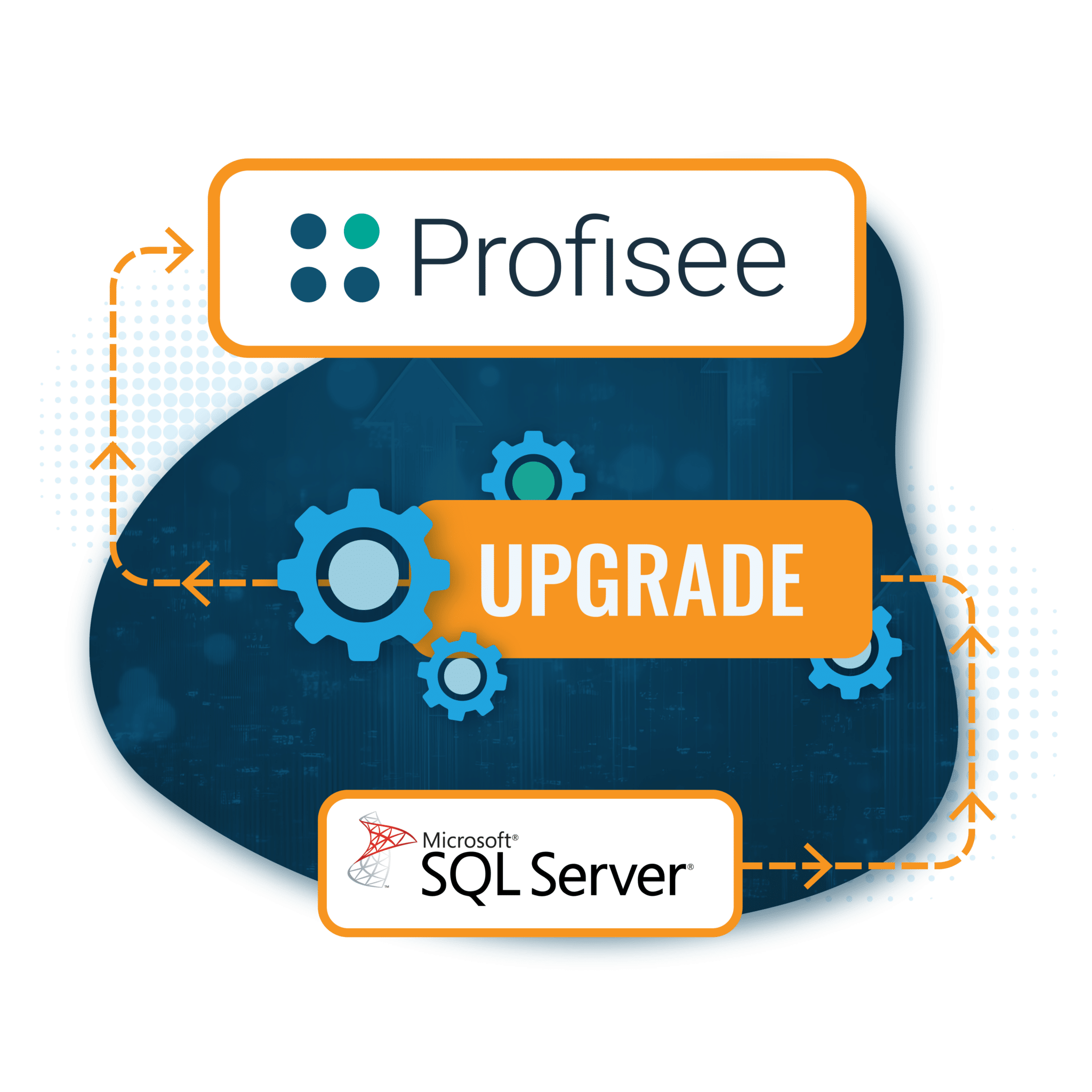 Microsoft Enterprise