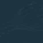 Profisee • Enterprise Master Data Management