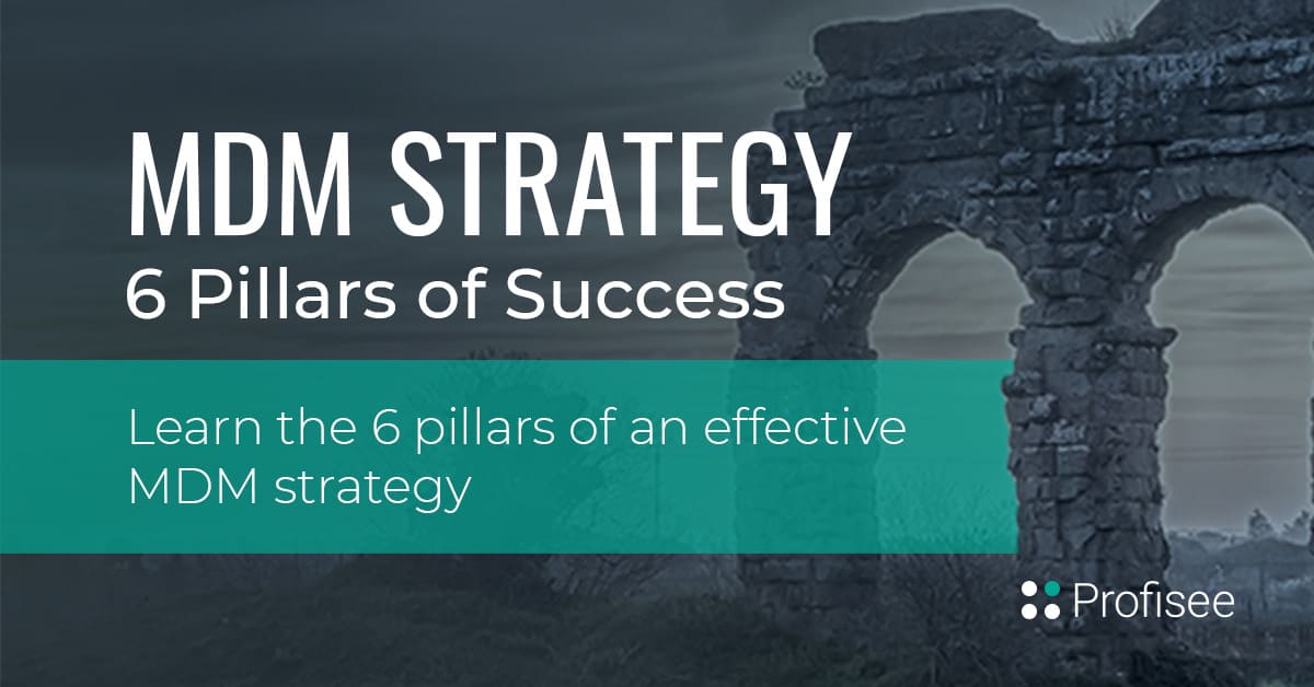 MDM Strategy - 6 Pillars for Success: Standards • Profisee